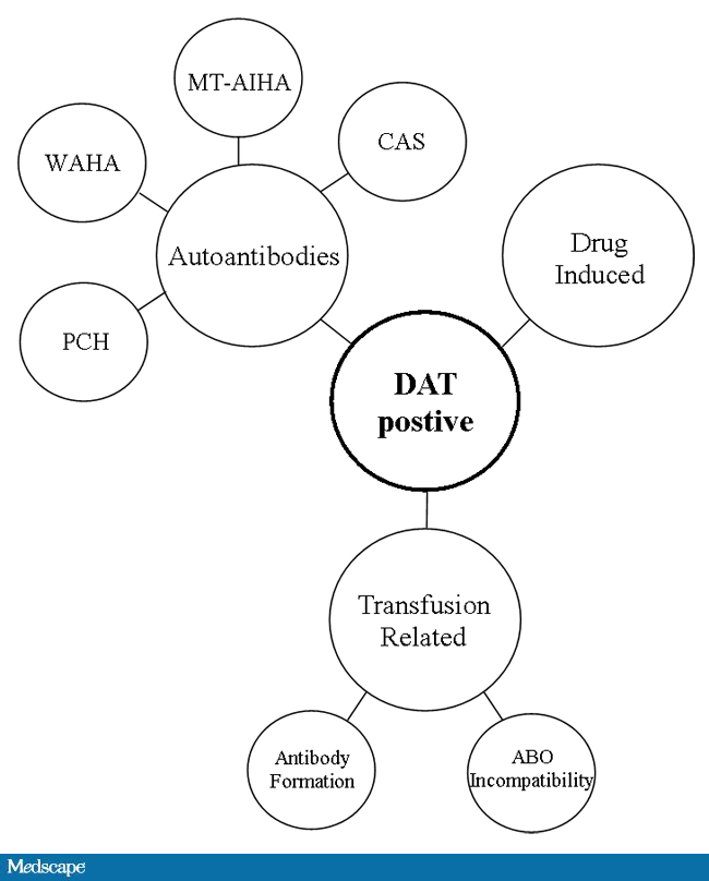DAT-Positive Hemolytic Anemias – Dr. Zeyd Merenkov