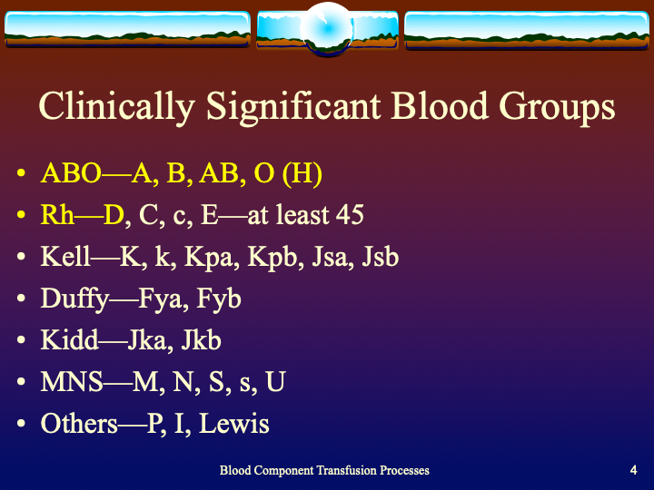 Basic Blood Bank Testing: Medical Student Lecture – Dr. Zeyd Merenkov