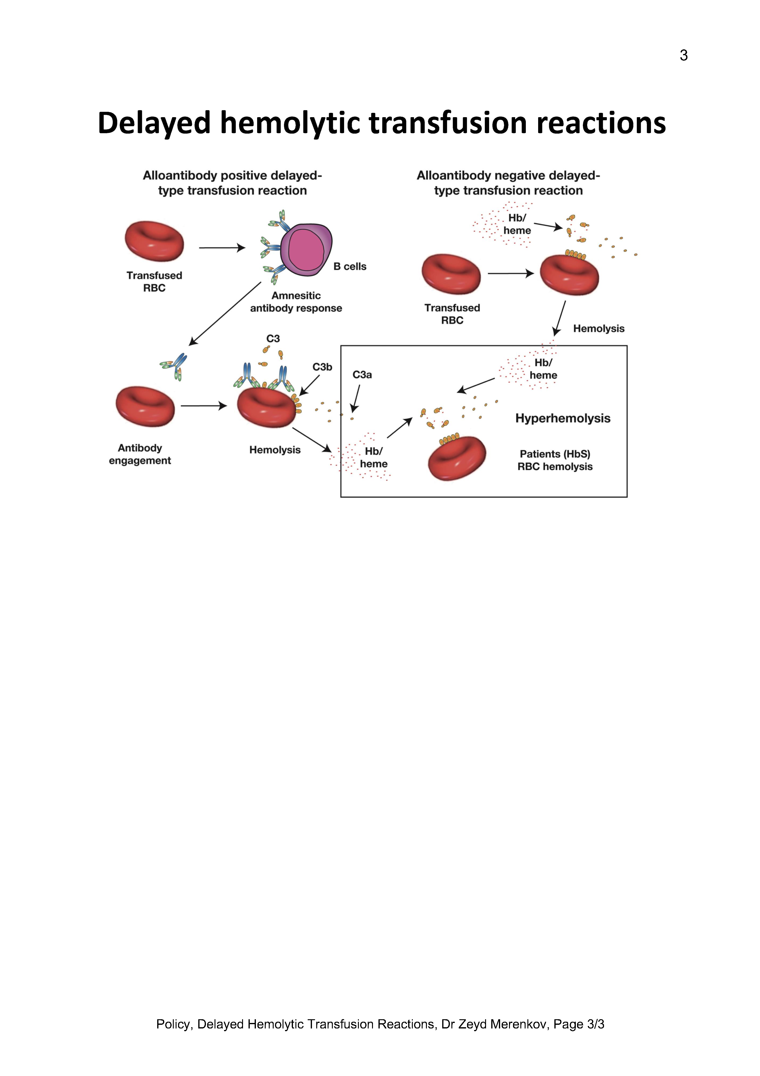 Delayed Hemolytic Transfusion Reactions–Revision – Dr. Zeyd Merenkov