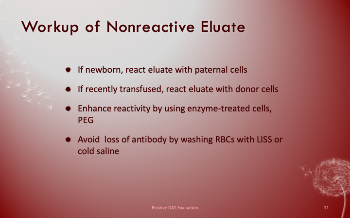 Positive DAT Evaluation – Dr. Zeyd Merenkov